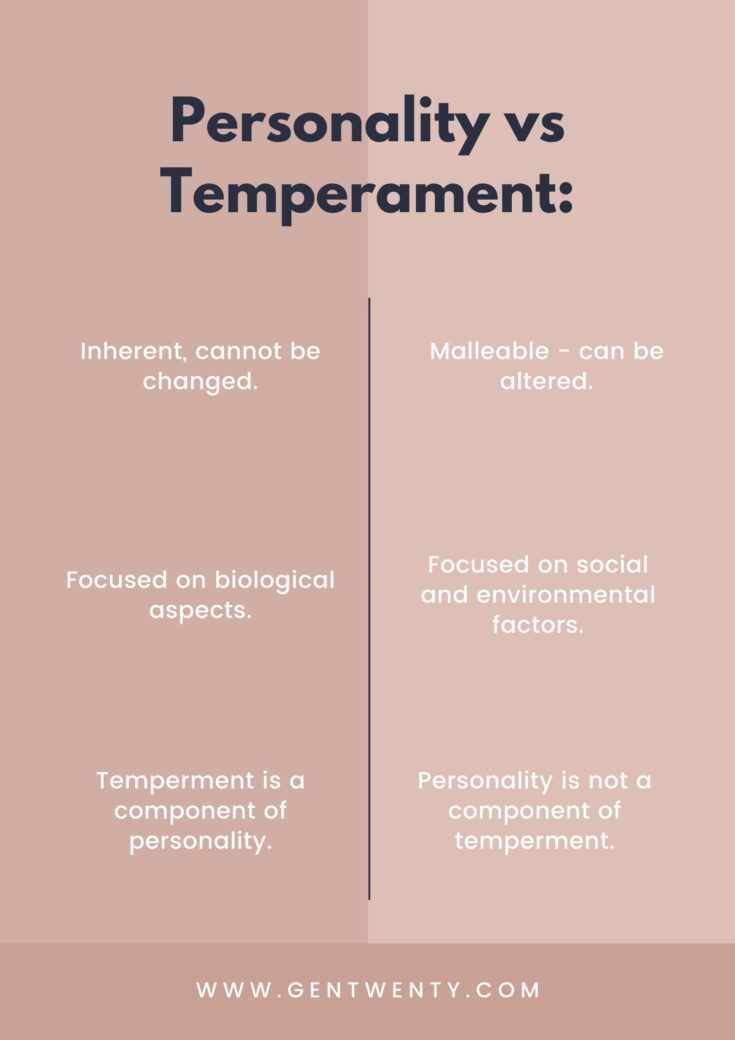 Personality vs Temperament: Differences Between the Two - GenTwenty