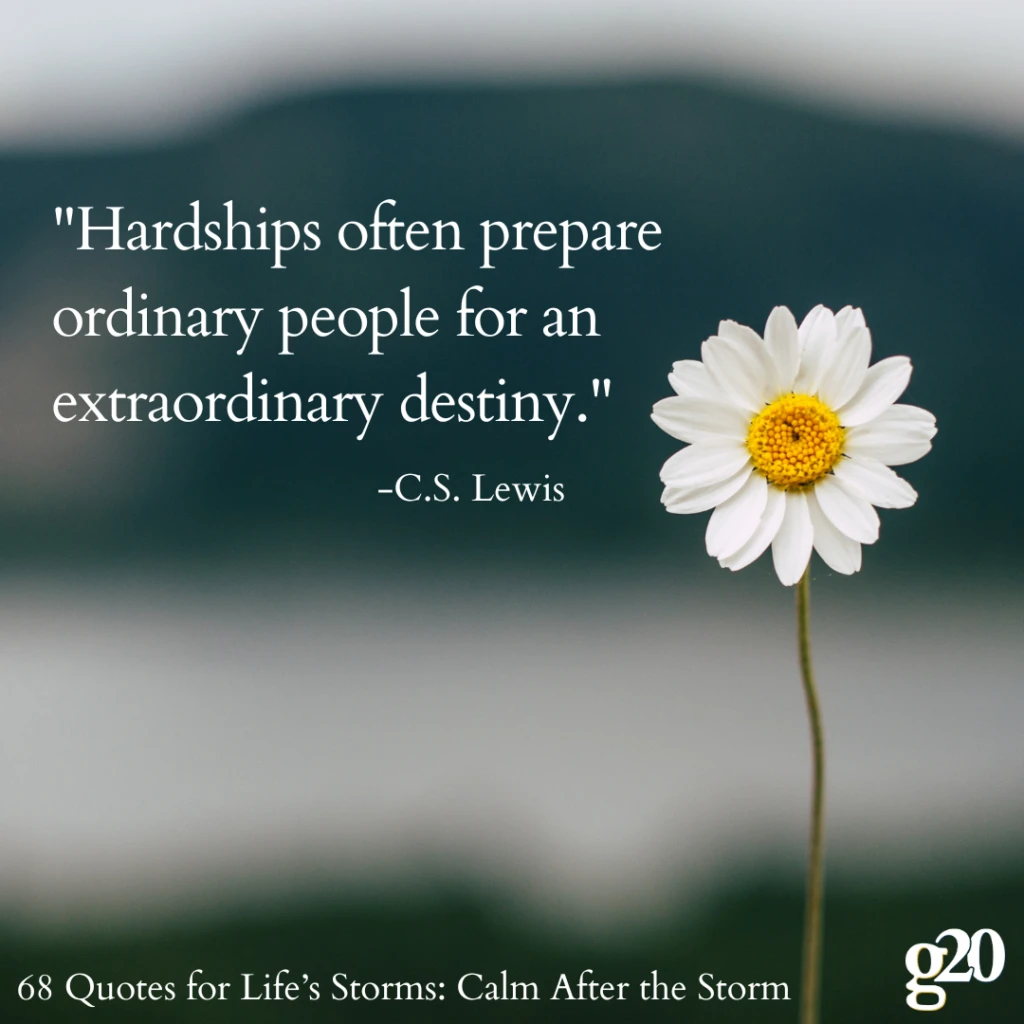 Weathering The Storm Quotes