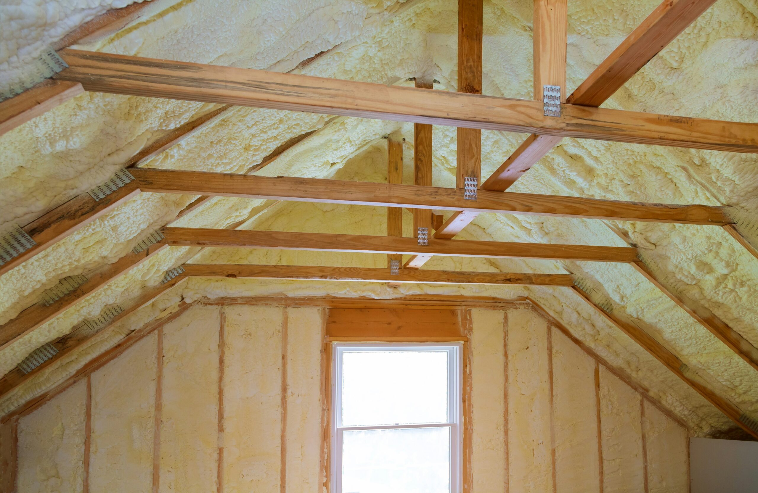 A Homeowner’s Guide to a Cleaner, Healthier Attic Space - GenTwenty